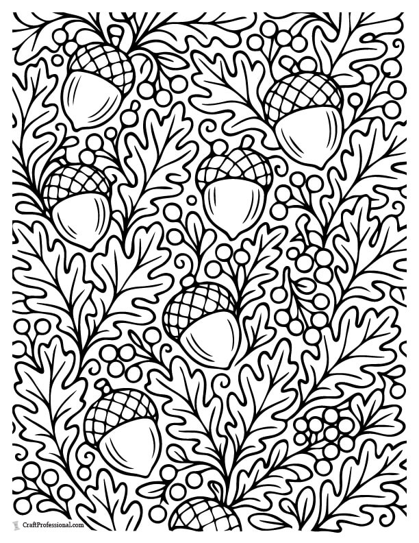 Acorns Coloring Pages