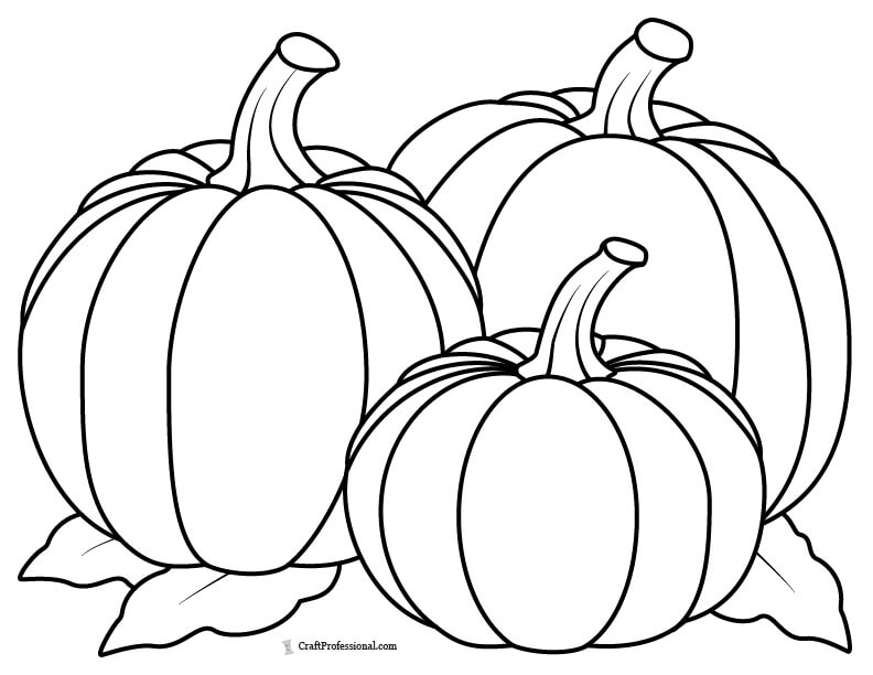 63 Free Fall Coloring Pages for Kids & Adults to Print